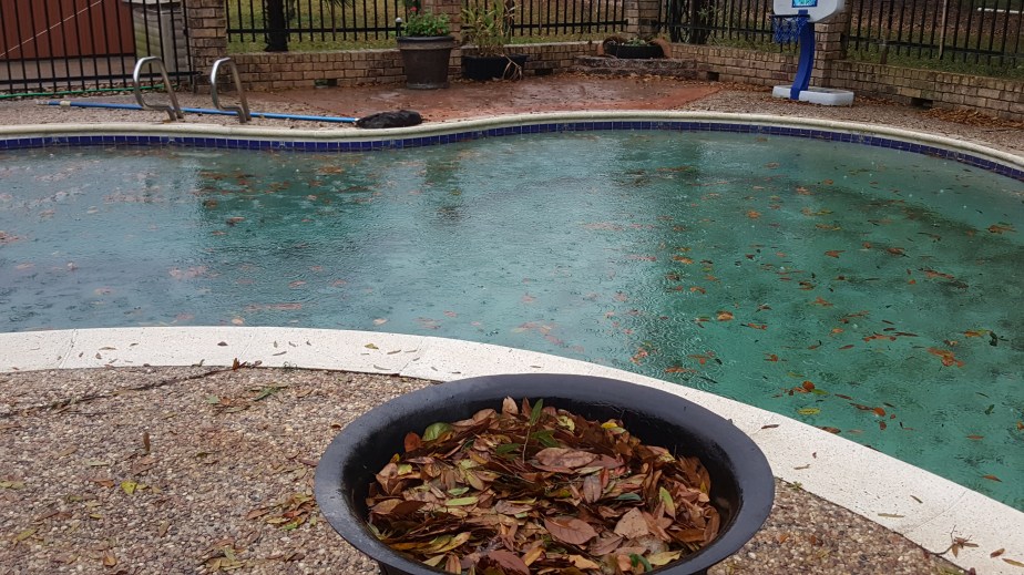 Spice and Produce Aisles? Where We’re Going, We Don’t Need Spice and ...